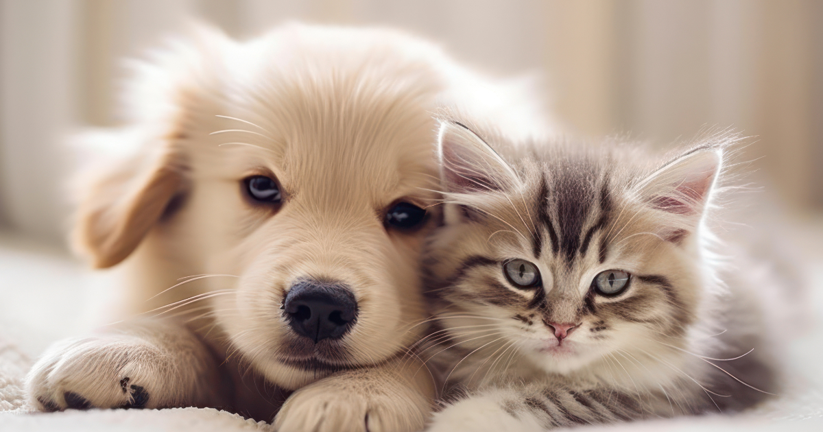 Emotional Support Animals and Community Associations